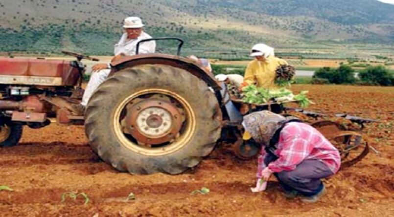 Η γεωργία και κτηνοτροφία θεμέλιο της οικονομίας μας! - lastpoint.gr